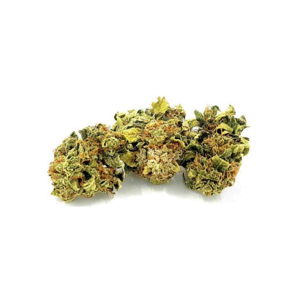 Warlock CBD Flower - (18% CBD)