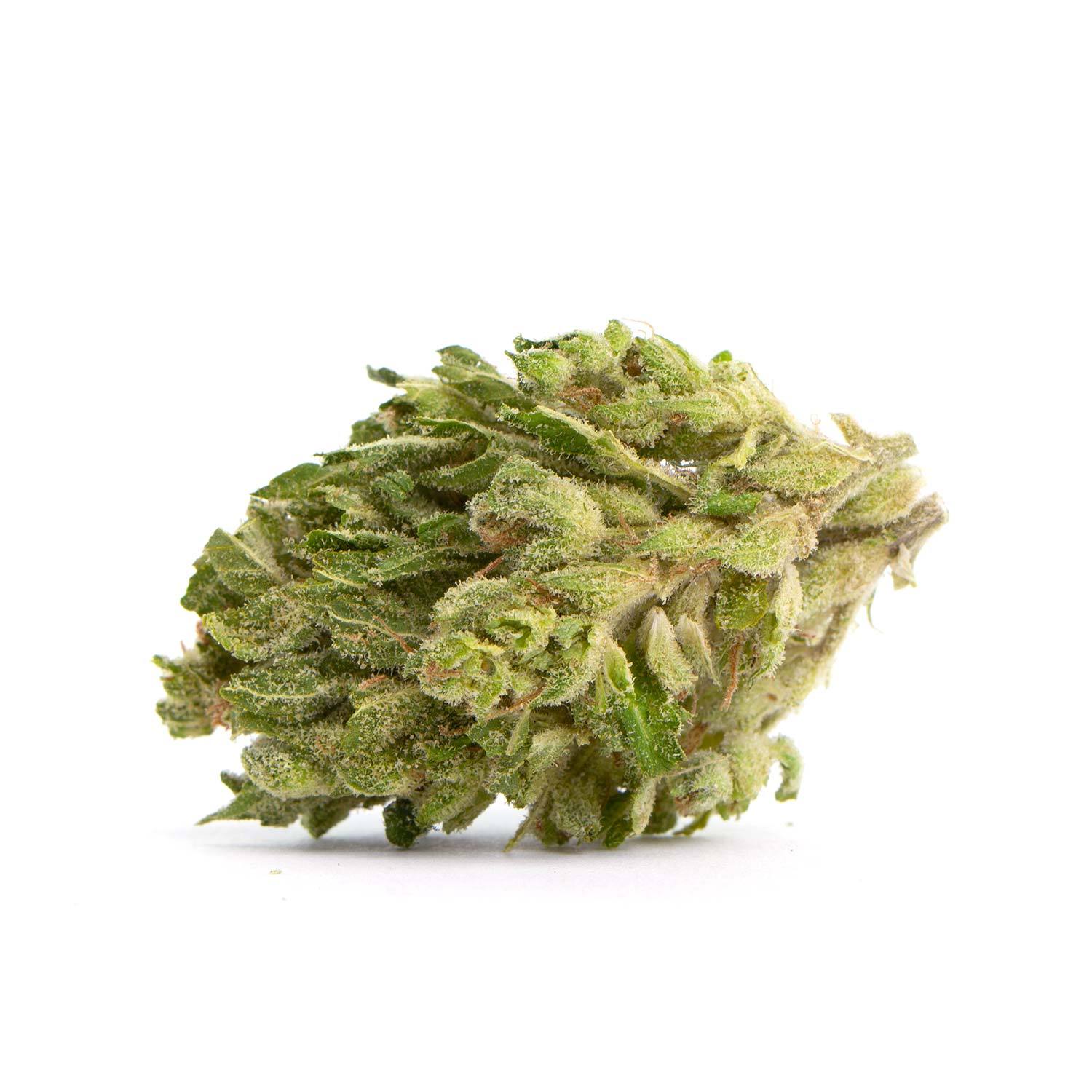 Adriatic Haze CBD Flowers - (17% CBD) – Buds King