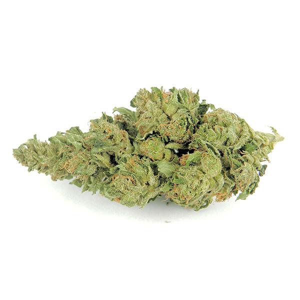 Endo Kush CBD Flower - (15% CBD) – Buds King